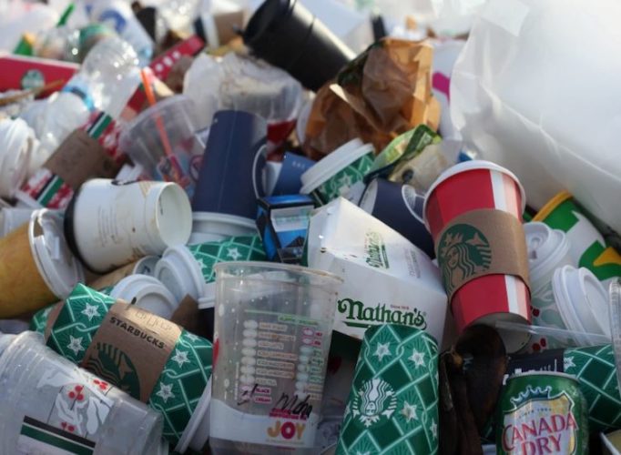 Fast Food Packaging: Contributing to Plastic Pollution